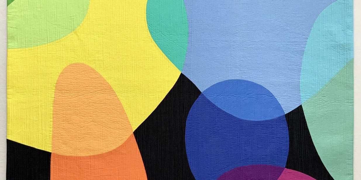 Curves and Transparency Effects In Your Quilting - Carolina Oneto